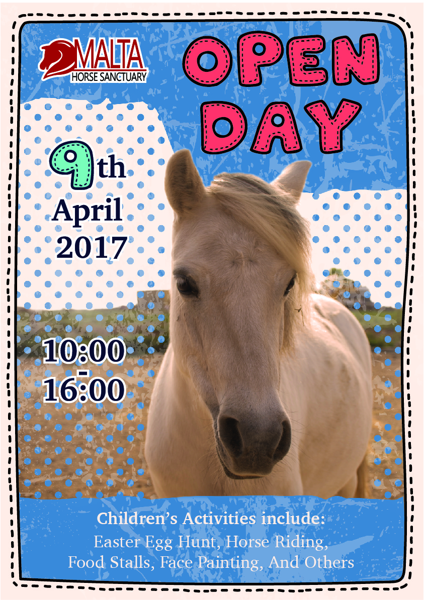 Activities – Animal Diaries